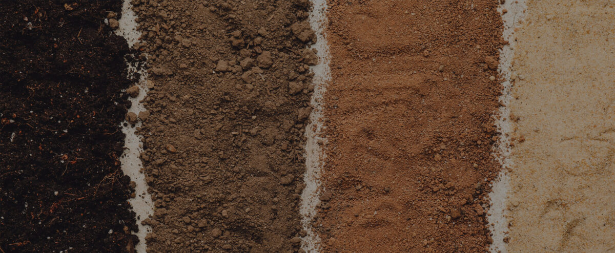 Westcoast Hire & Soils - Mini Loaders & Soil Delivery